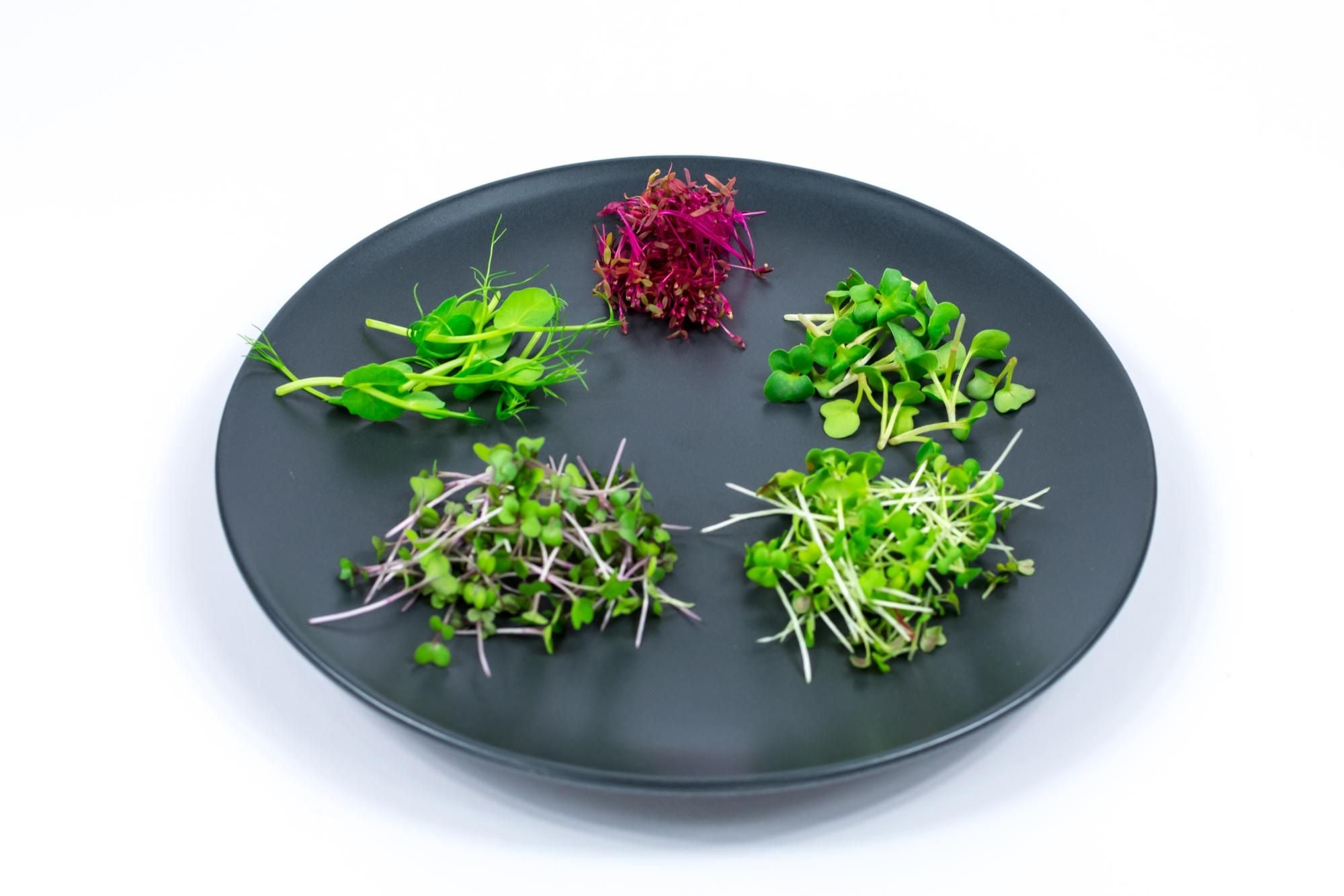 Arizona Artisan Microgreens | Year Round Microgreen Grower